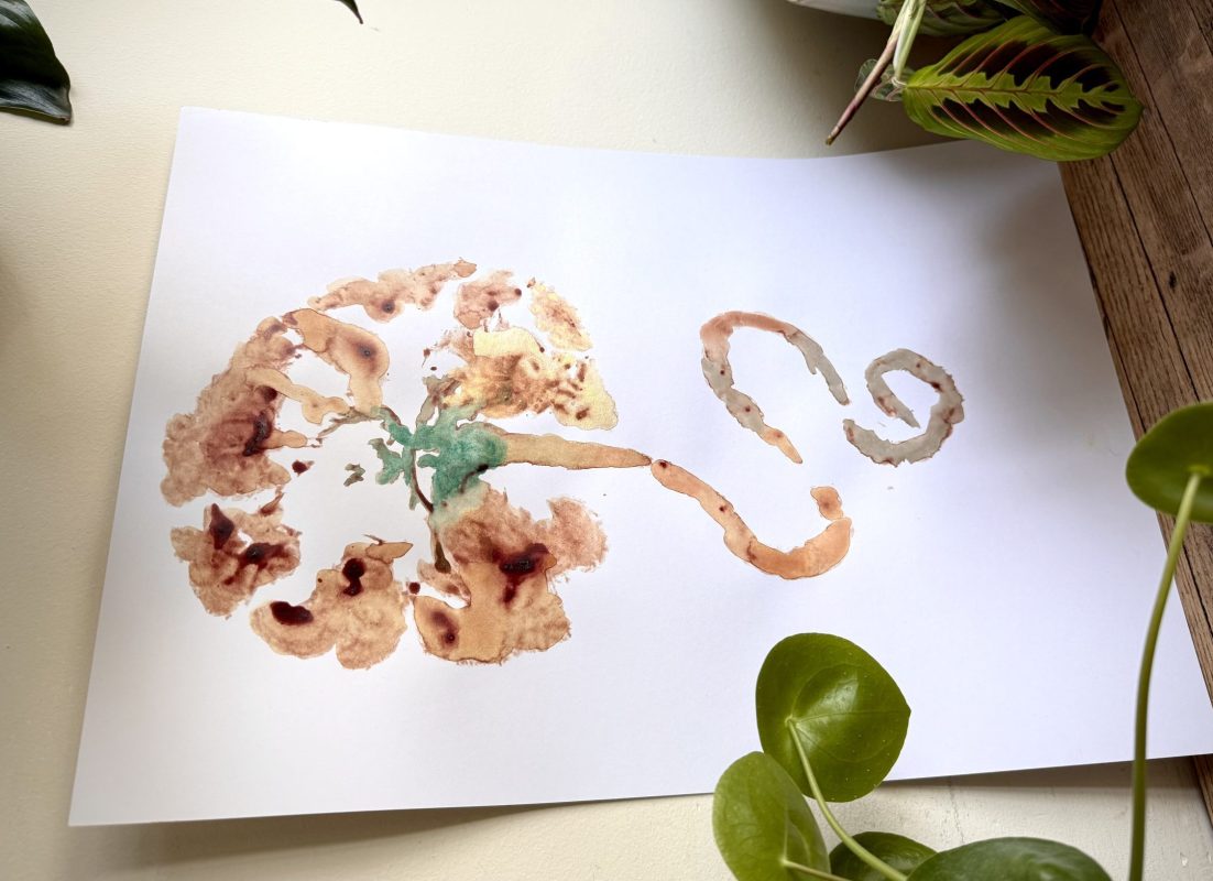 Placenta capsuleren – hype of helende kracht? - Dalalou Natuurlijk